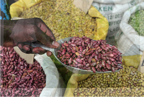 Farmers to benefit from processed bean innovation - UFAAS