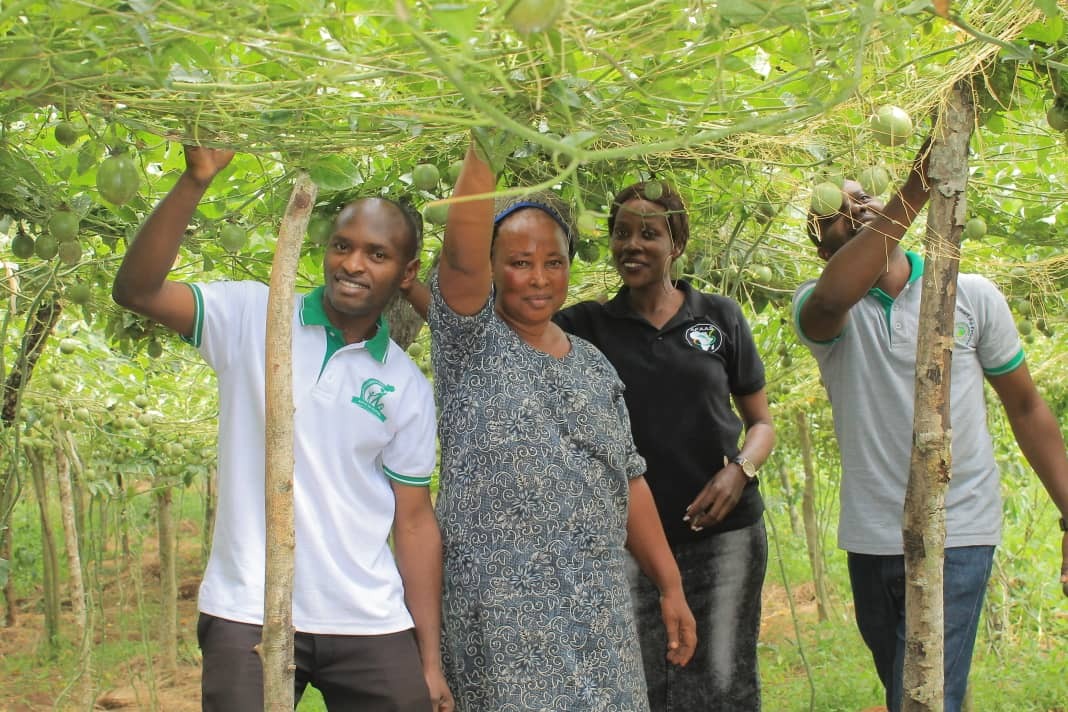 UFAAS trains Sembabule Youths on Climate Smart Agriculture - UFAAS